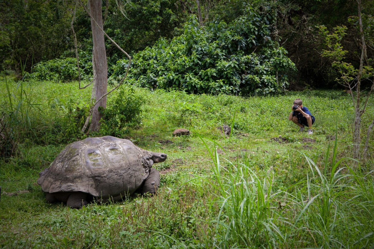 Galapagos Travel Information Galapagos Cruises galapagos-travel-information-galapagos-cruises